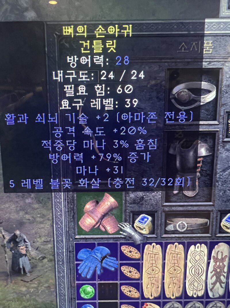 활아마 장갑 평가좀 디아블로2 자유 게시판 디아블로2 인벤
