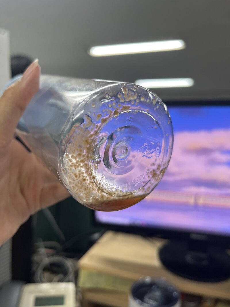 메이플스토리 인벤 이거 설마 곰팡이같은건가 메이플스토리 인벤 자유게시판