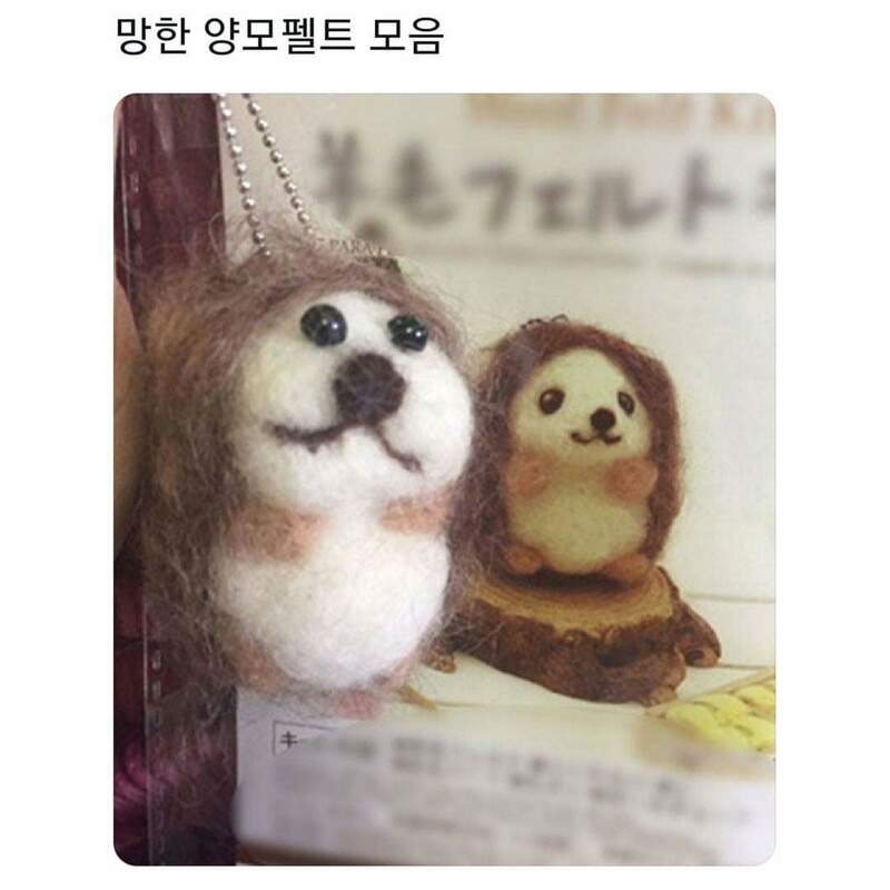 메이플스토리 인벤 망한 양모펠트 모음 메이플스토리 인벤 자유게시판