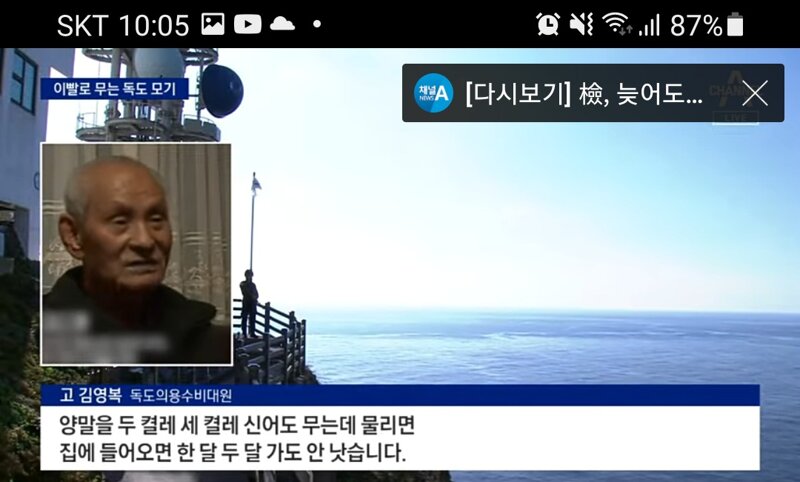메이플스토리 인벤 약혐주의 독도에서만 발견되는 모기 메이플스토리 인벤 자유게시판