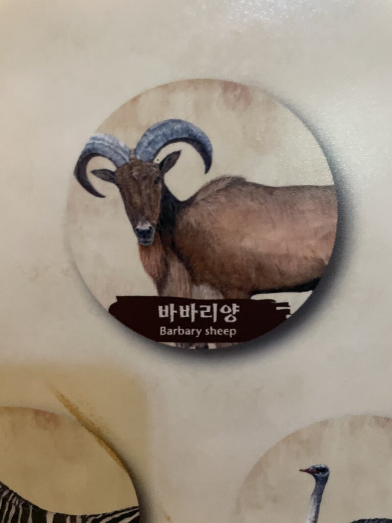 디아블로4 인벤 바바리안이 여캐면 디아블로4 인벤 자유 게시판