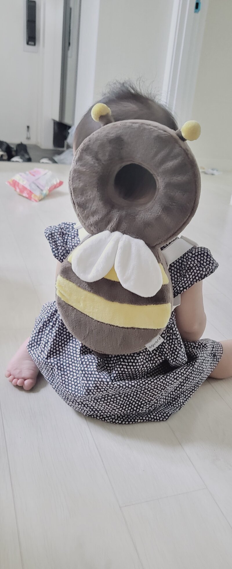 메이플스토리 인벤 집에 꿀벌들어왔눈데 메이플스토리 인벤 자유게시판