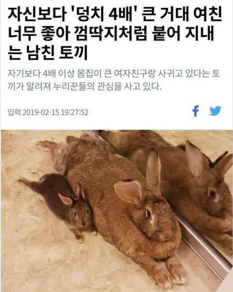 메이플스토리 인벤 오네쇼타real 메이플스토리 인벤 자유게시판
