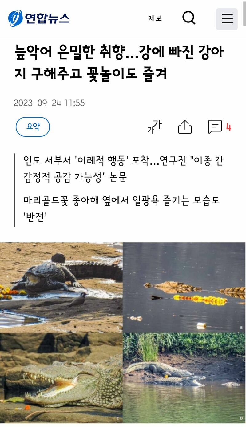 늪악어 은밀한 취향강에 빠진 강아지 구해주고 꽃놀이도 즐겨 오픈이슈갤러리 인벤