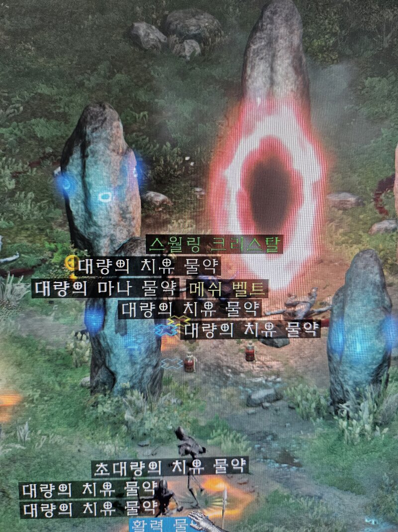4기 마지막에 먹었네요 탈라샤 지팡이 디아블로2 득템and자랑 게시판 디아블로2 인벤