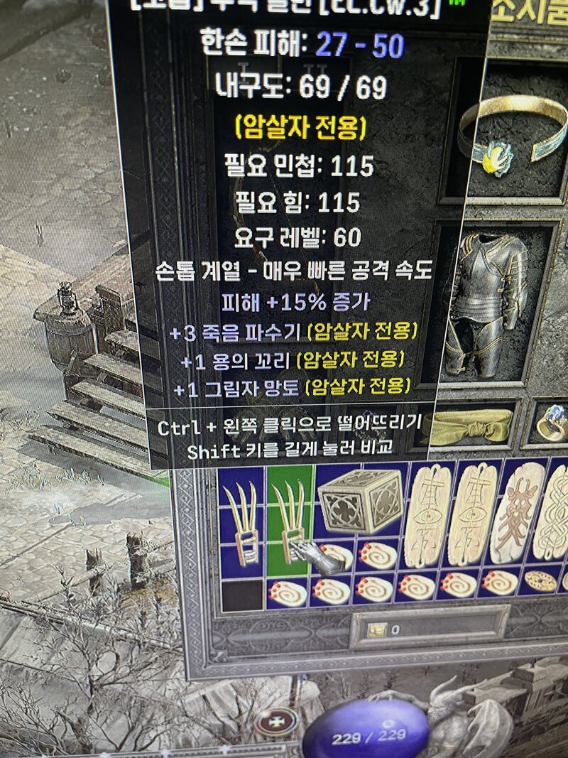 뼈대로 쓰이나요 디아블로2 자유 게시판 디아블로2 인벤