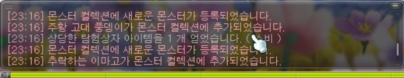 메이플스토리 인벤 와 이번주 모몽 운 미쳤다 메이플스토리 인벤 자유게시판