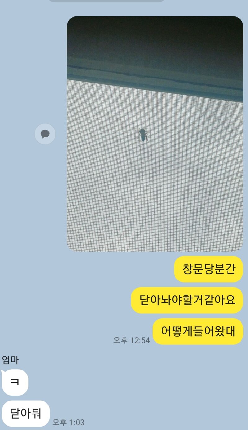 메이플스토리 인벤 나 살짝 정신나갈거같음 메이플스토리 인벤 자유게시판