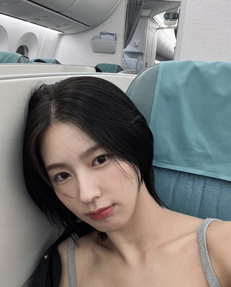 메이플스토리 인벤 신궁vs에반 메이플스토리 인벤 리부트 게시판