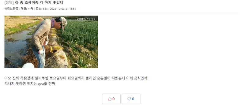 로스트아크 인벤 분탕 하나 시원하게 저격하고감 로스트아크 인벤 자유 게시판