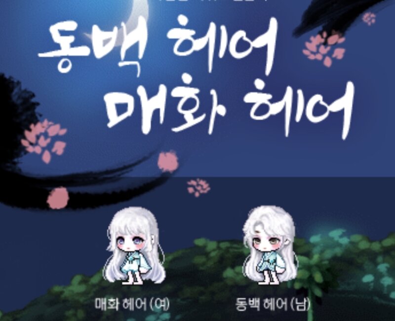 메이플스토리 인벤 동백헤어는 한정판이었나요 메이플스토리 인벤 질문과 답변 게시판