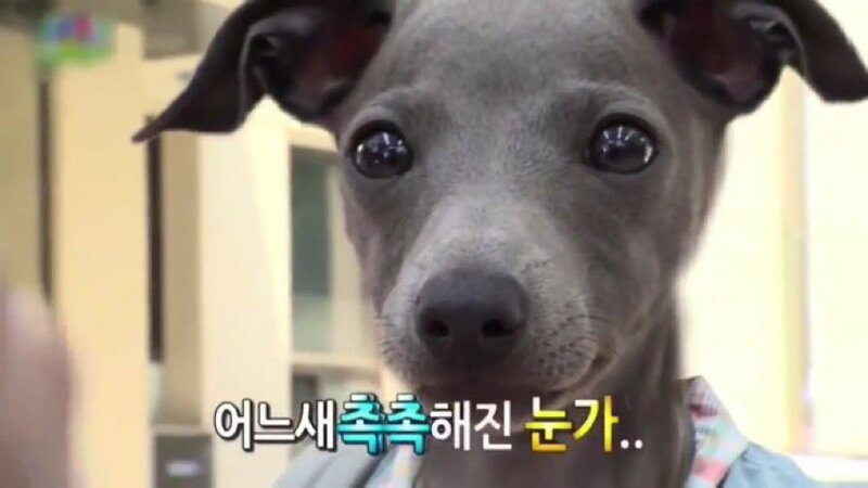 로스트아크 인벤 역천 진짜 쉬워요 한입만 해보세요 로스트아크 인벤 기공사 게시판