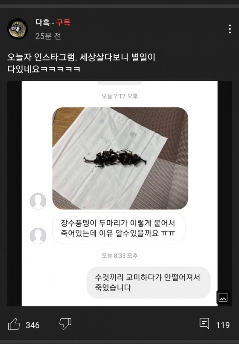 메이플스토리 인벤 수컷교미 복상사 메이플스토리 인벤 자유게시판