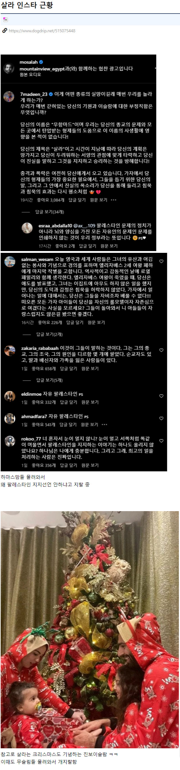 너 왜 팔레스타인 지지 안 해 Vortex Gaming