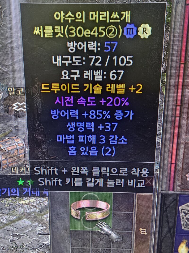 이 드루이드 써클릿 거래될까요 디아블로2 드루이드 게시판 디아블로2 인벤