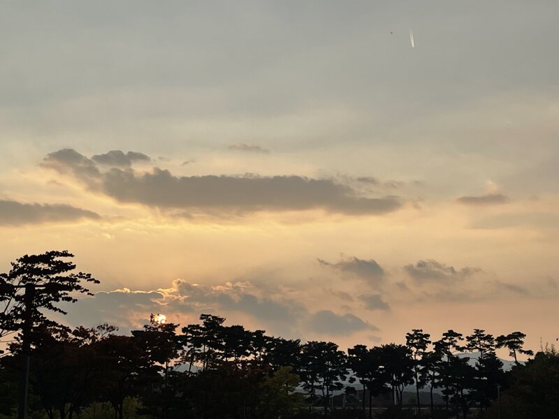 와이프랑 산책다녀왔는데 디아블로2 자유 게시판 디아블로2 인벤