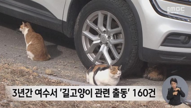 메이플스토리 인벤 펀치킹 10등안에 들어보고싶다 메이플스토리 인벤 리부트 게시판