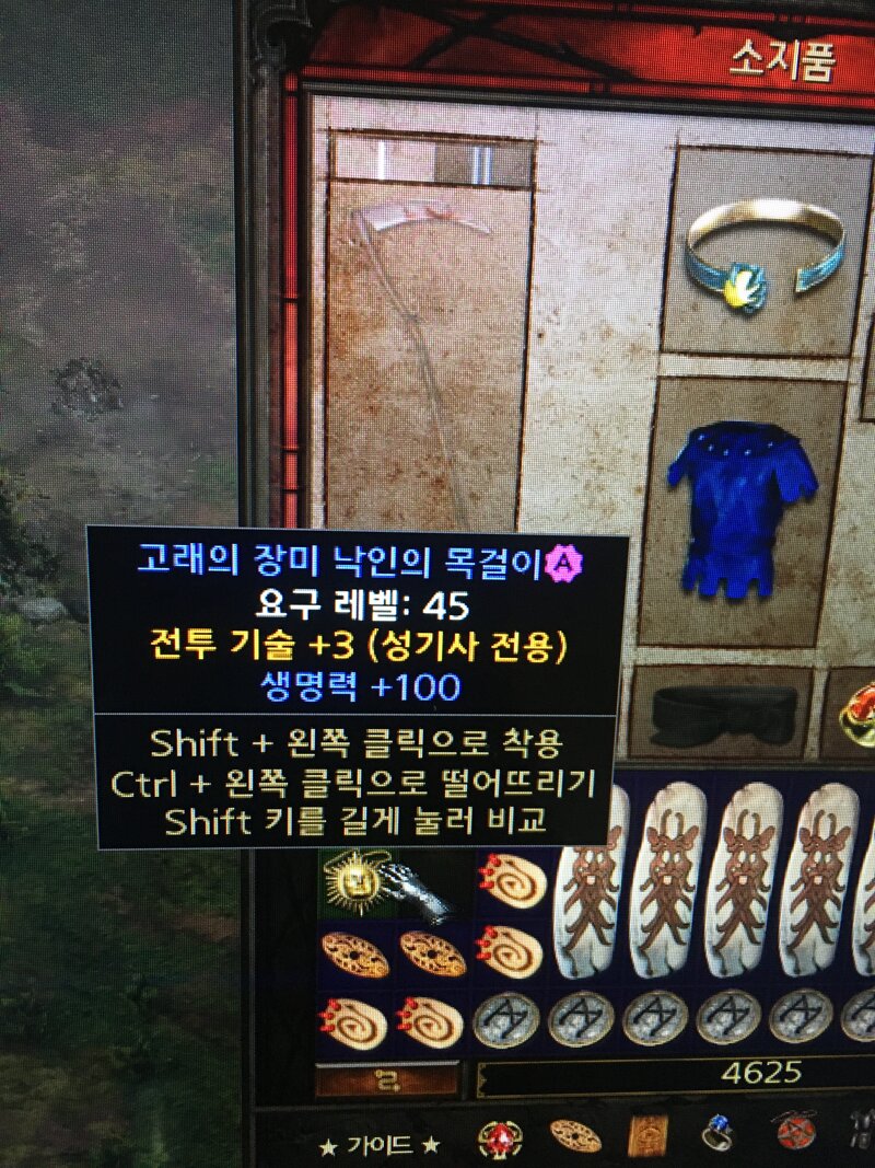 이목걸이 시세가 궁금합니다 디아블로2 자유 게시판 디아블로2 인벤