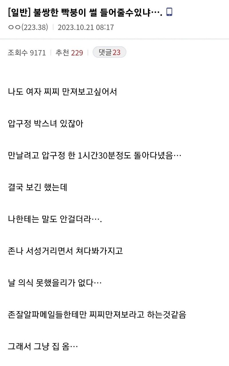오픈 이슈 갤러리 압구정 박스녀 만져보고 싶었던 사람 Vortex Gaming