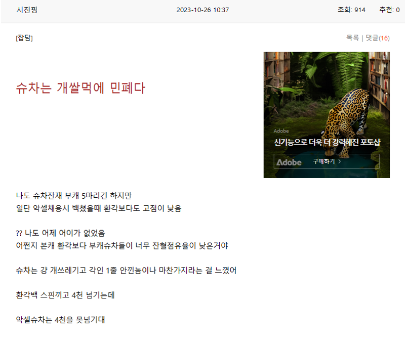 시간확정 블게에서 ㅅㅈㅍ님이랑 90만골빵 하려고합니다 볼텍스 게이밍