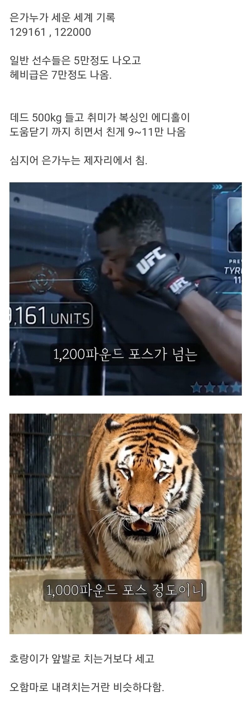 오픈 이슈 갤러리 은가누의 펀치가 많이 아픈 이유 Vortex Gaming