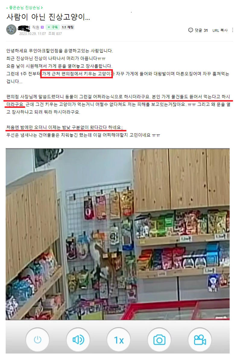 메이플스토리 인벤 무인점포 털어먹는 고양이 메이플스토리 인벤 자유게시판