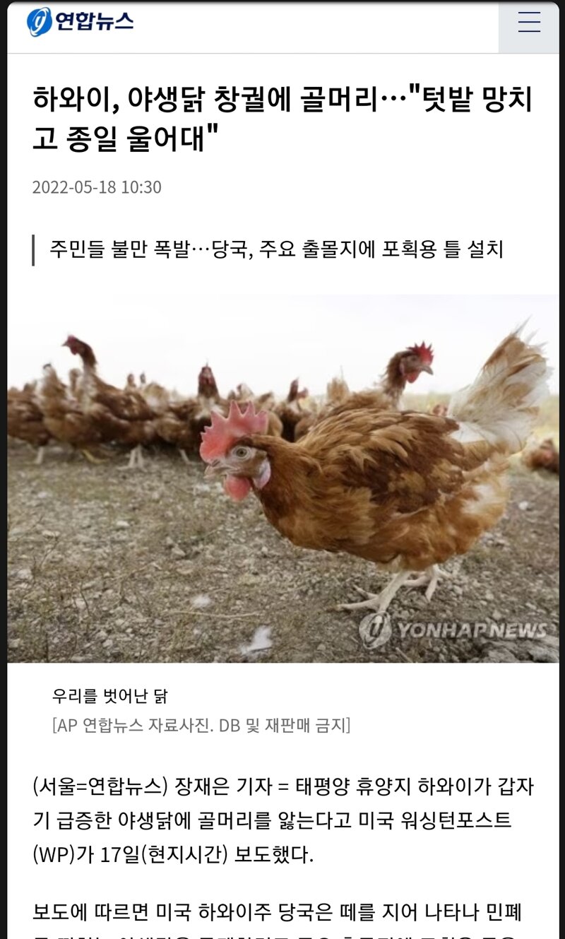 메이플스토리 인벤 한국인은 이해 못하는 짤 메이플스토리 인벤 자유게시판