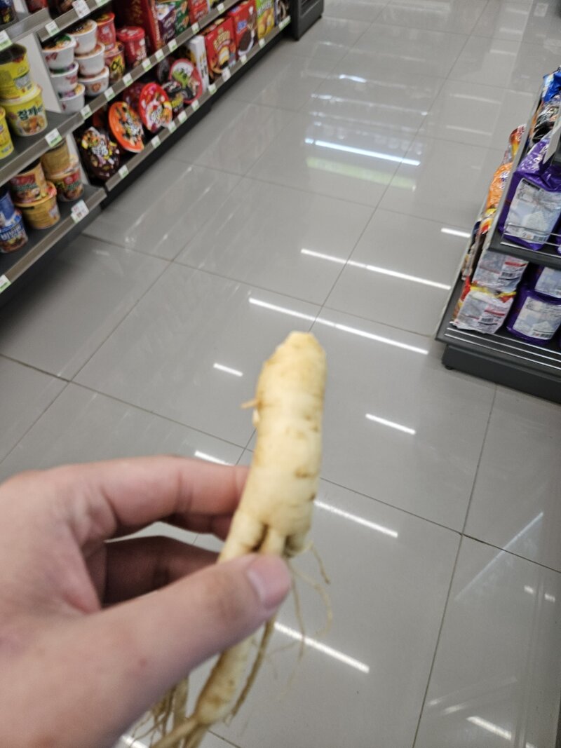 메이플스토리 인벤 야간하는데 손님이 주고감 메이플스토리 인벤 자유게시판