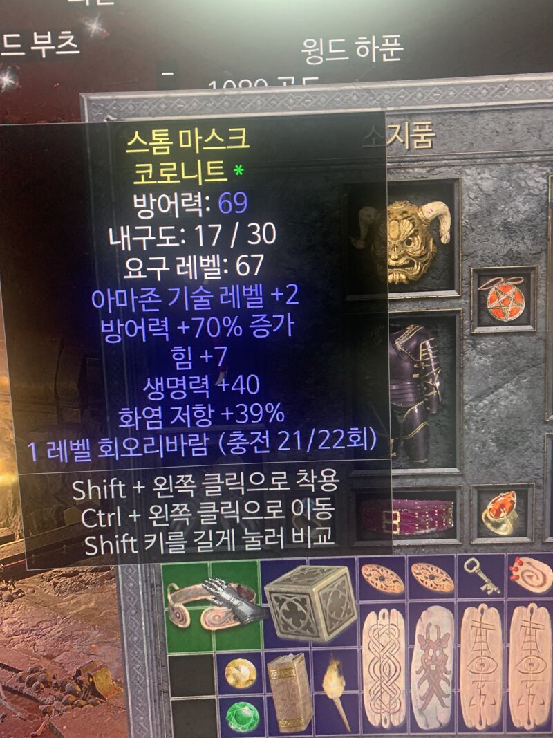레더 아마존 코로니트 환인가요 디아블로2 자유 게시판 디아블로2 인벤