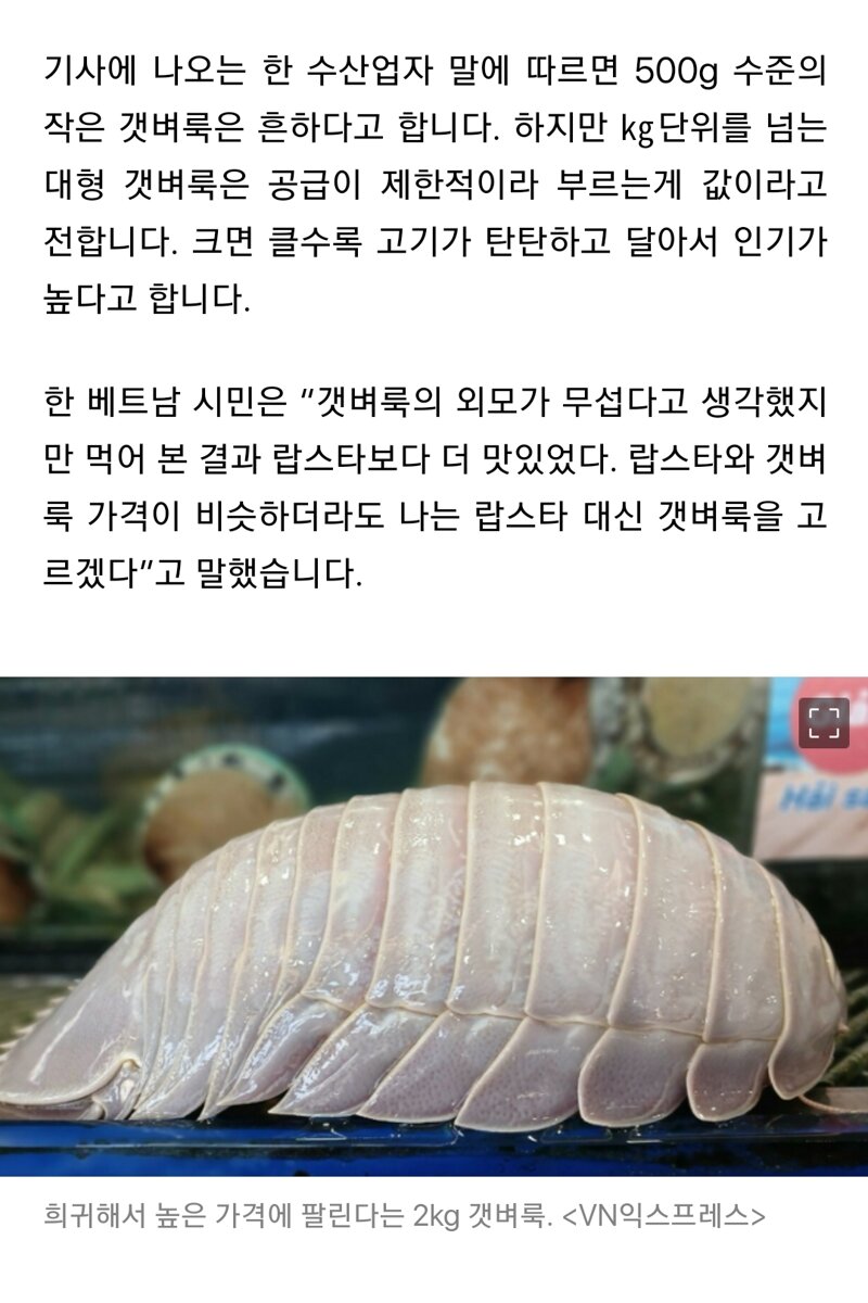 혐 랍스타보다 더 맛있다는 ‘바다 바선생드실 수 있나요 오픈이슈갤러리 인벤