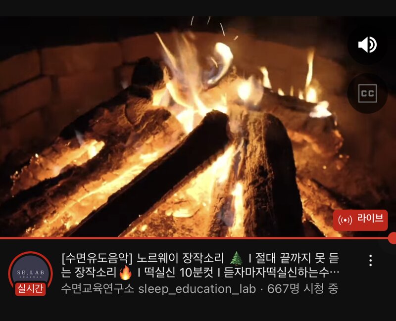 메이플스토리 인벤 장작 소리 힐링된다 메이플스토리 인벤 자유게시판