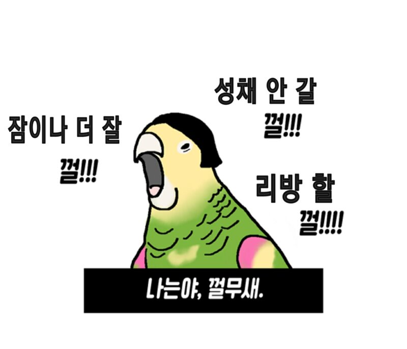 아침 테러존 성채 디아블로2 자유 게시판 디아블로2 인벤