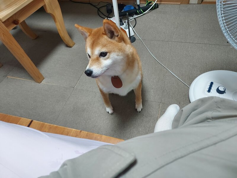 ㅣ발 방에 오줌 지릴뻔장문 볼텍스 게이밍