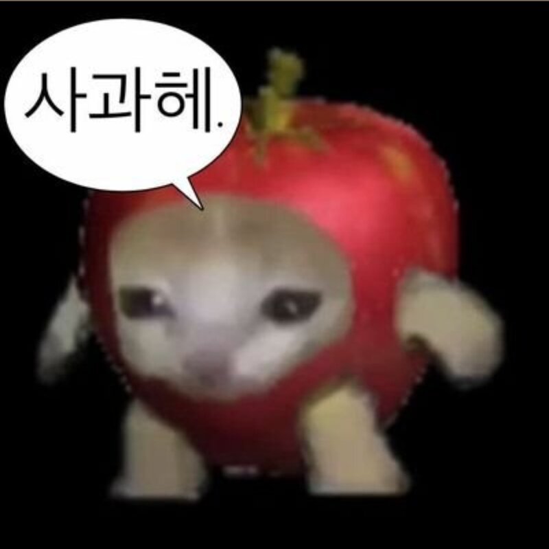 메이플스토리 인벤 여론 가리기 위한 투표 메이플스토리 인벤 자유게시판