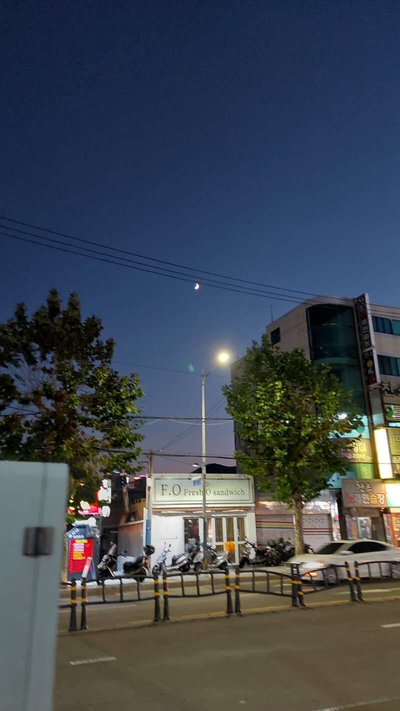 메이플스토리 인벤 오늘 댕댕이 짱구옷 입혔어 메이플스토리 인벤 자유게시판