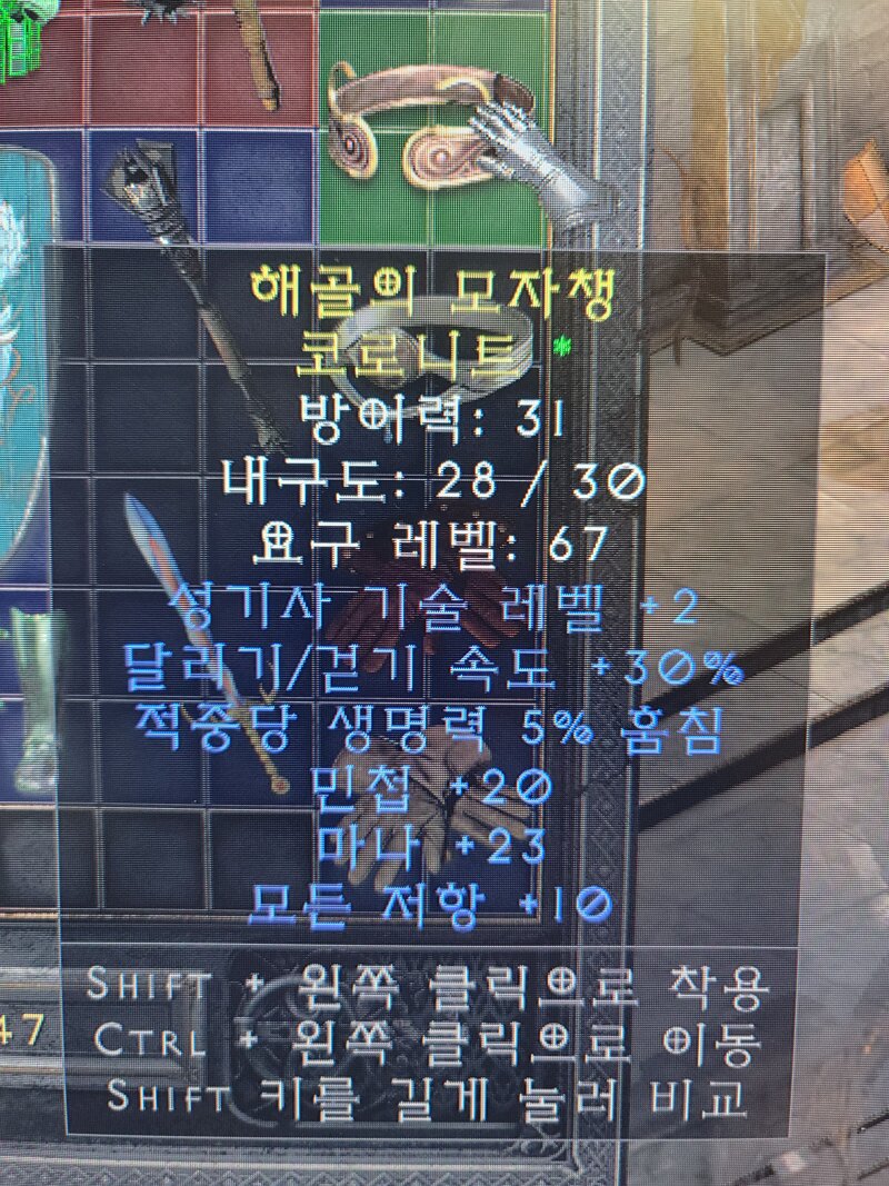 성기사 뚜껑 쓰는걸까요 디아블로2 자유 게시판 디아블로2 인벤