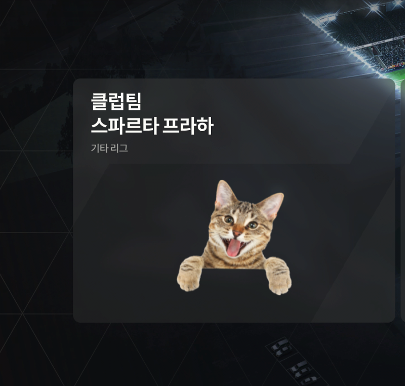 Fc 온라인 인벤 Fc온라인에 고양이 박제 Fc 온라인 인벤 자유게시판