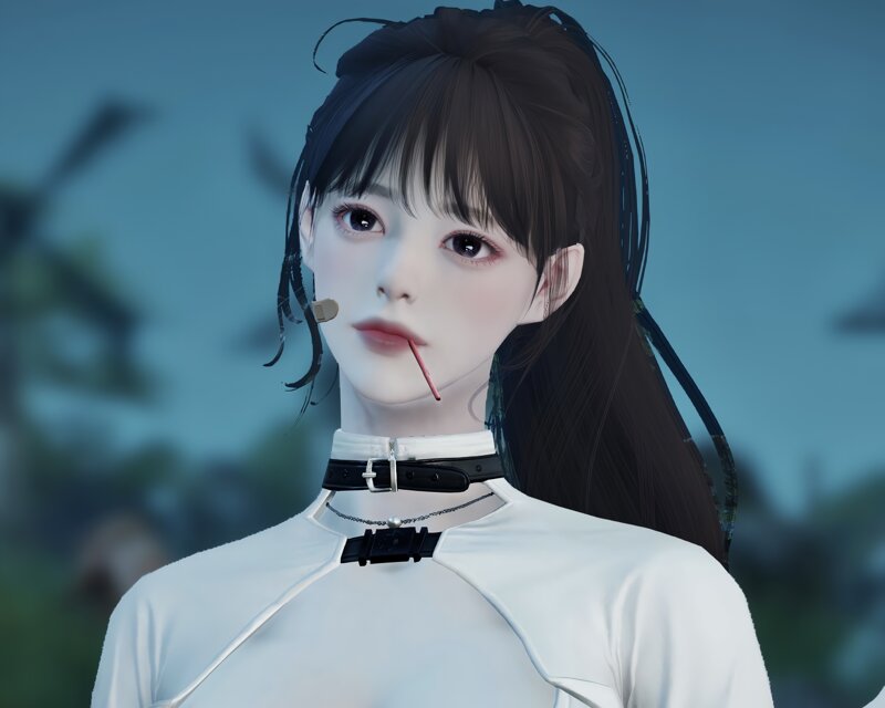 로스트아크 인벤 포니 로스트아크 인벤 스크린샷 갤러리