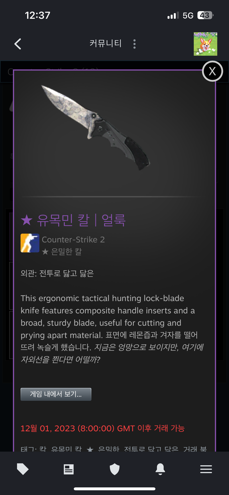 팟벤 유목민노마드 칼 얼룩 전닳 팝니다 카스글옵csgo 팟벤