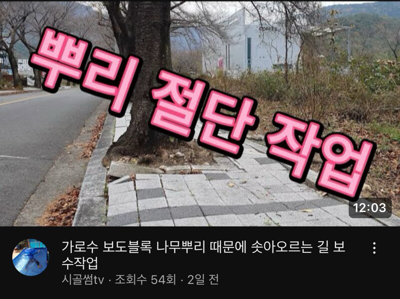 아니 유튜브 알고리즘 뭐냐 ㅅㅂㅋㅋㅋㅋㅋㅋㅋㅋ 볼텍스 게이밍