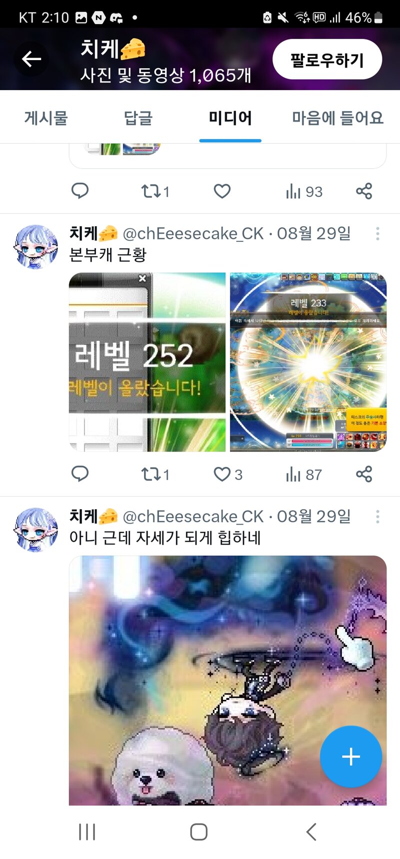 메이플스토리 커뮤니티 화제 진캐 Xx하라는 트위터 왜 비공개로 돌려놓나요 오로라치케양치 Vortex Gaming