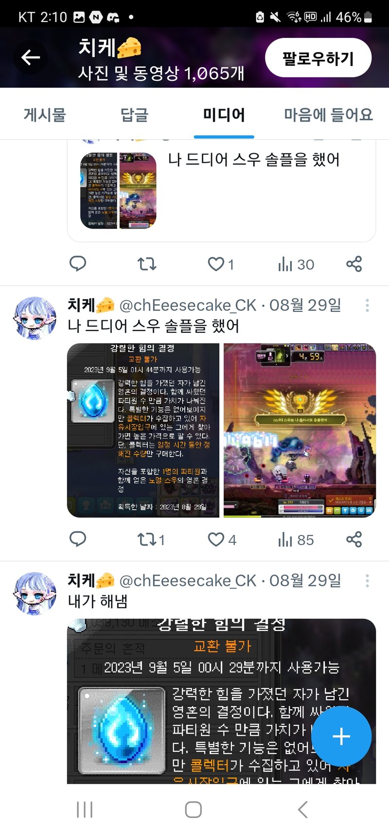 메이플스토리 커뮤니티 화제 진캐 Xx하라는 트위터 왜 비공개로 돌려놓나요 오로라치케양치 Vortex Gaming