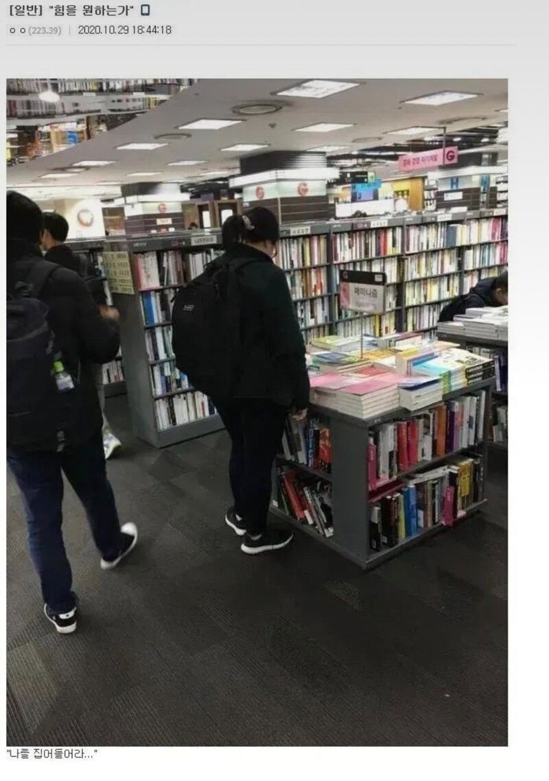 메이플스토리 인벤 이건 또 뭐누ㅋㅋㅋㅋㅋ 메이플스토리 인벤 자유게시판