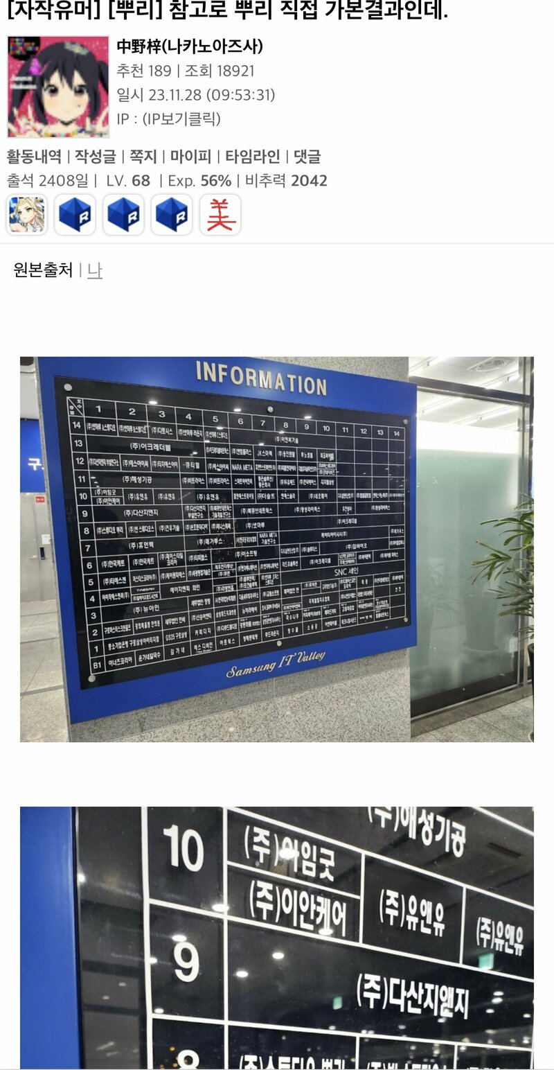 메이플스토리 인벤 넥슨 직원피셜 스튜디오 뿌리 근황 메이플스토리 인벤 자유게시판
