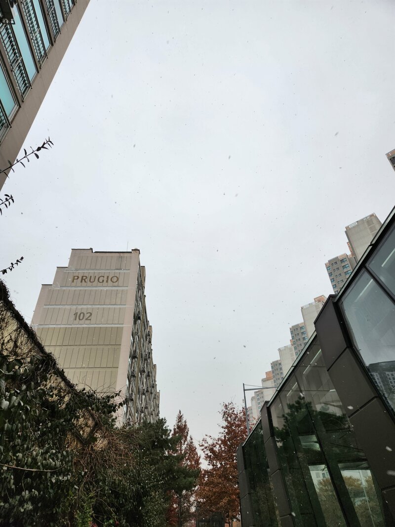 로스트아크 인벤 눈온다 로스트아크 인벤 자유 게시판