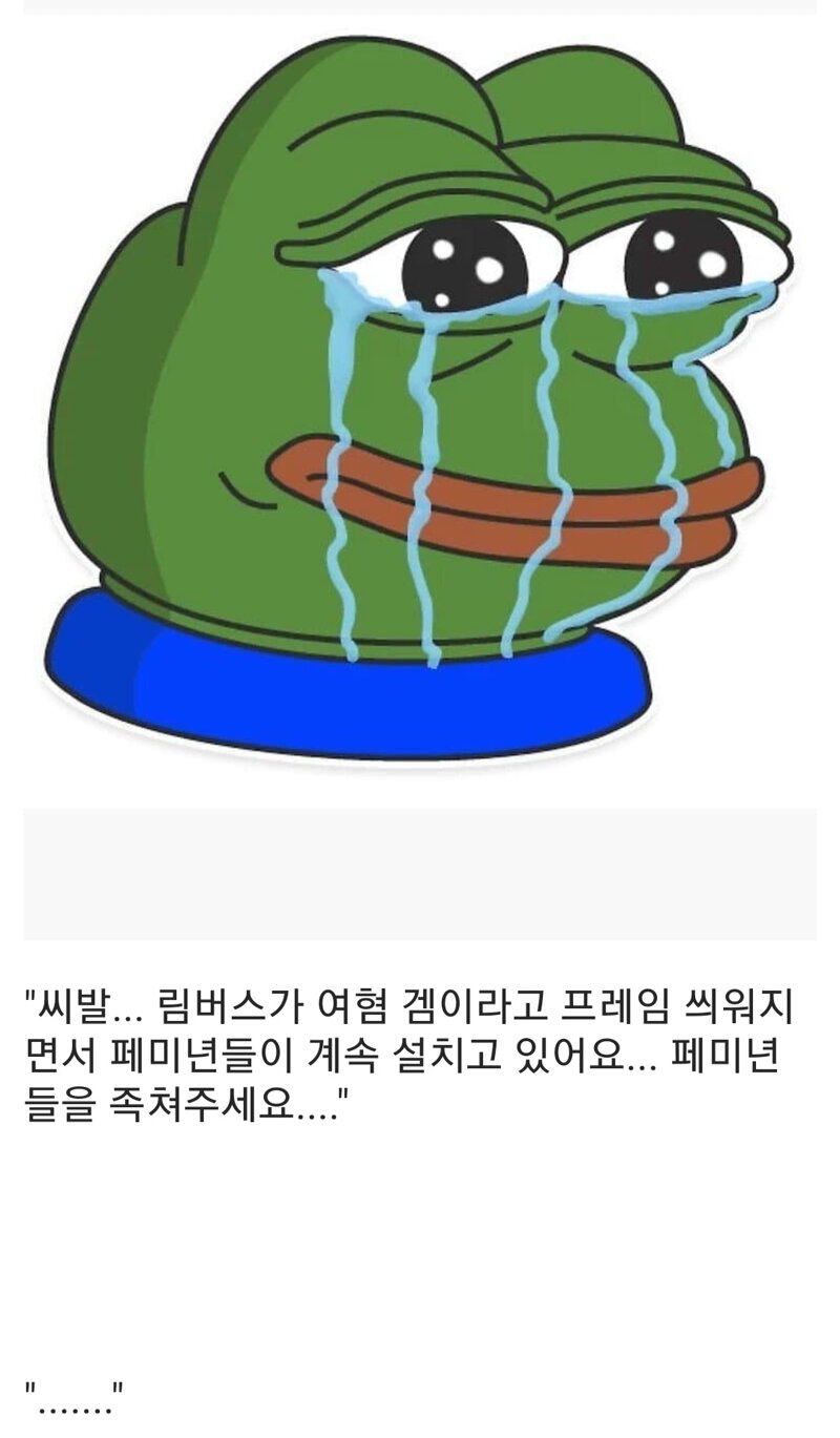 블갤펌메던이 더이상 안 싸웠으면 좋겠어요 Vortex Gaming