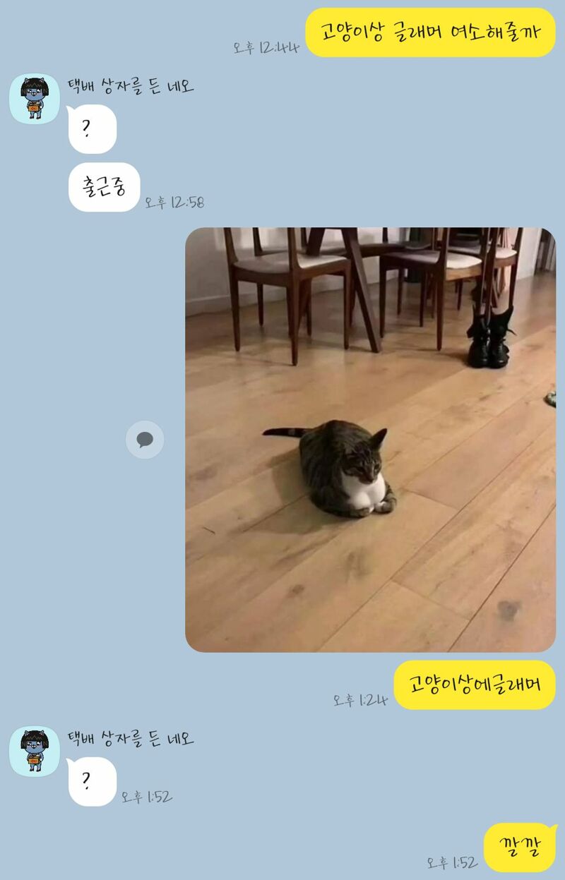 오픈 이슈 갤러리 고양이상에 글래머 소개받을래 Vortex Gaming