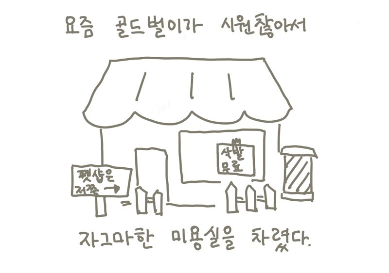 로스트아크 인벤 진짜 개오랜만에그리는에스더와 미용실 Manhwa 아제나이난나 편 로스트아크 인벤 자유 게시판