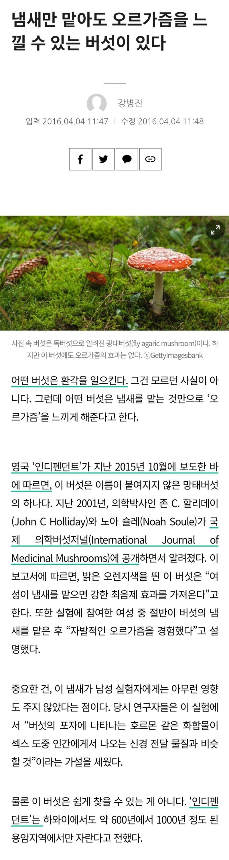로스트아크 인벤 냄새로 가버리게 하는 버섯ㅁㅊ 로스트