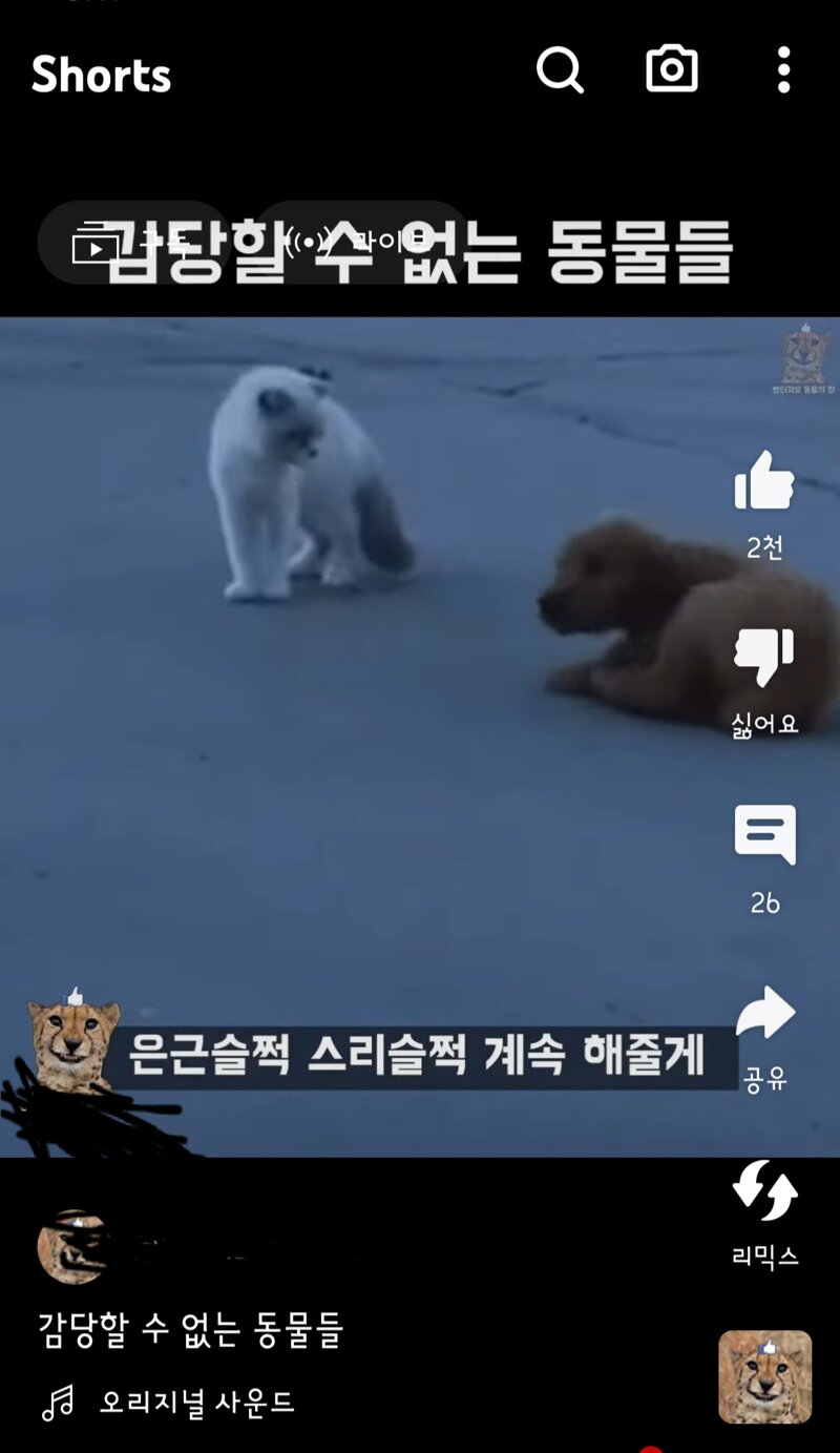 메이플스토리 인벤 벌써 밈이 되버린건갘ㅋㅋㅋㅋㅋㅋ 메이플스토리 인벤 자유게시판